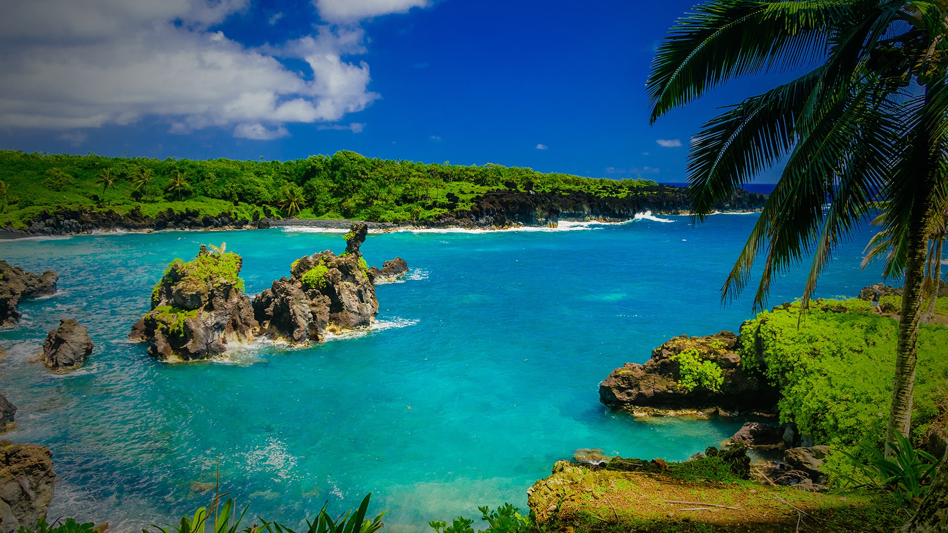 Build Your Own Dental Practice | Hawaii Family Dental